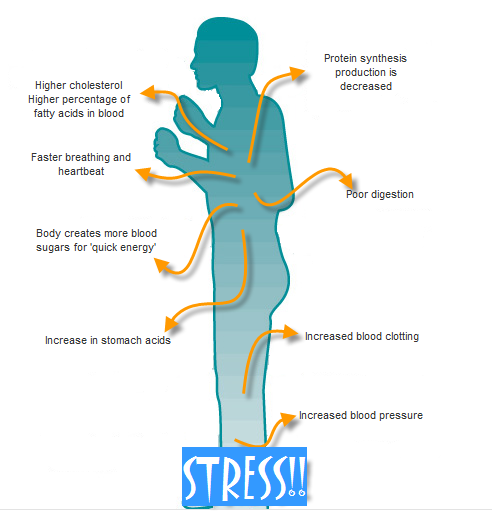 Stress - 99% of all disease is caused by stress
