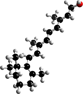 Vitamin A | Skin, Immunity and Vision Health